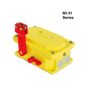 Thermo Ramsey 60-31E - Conveyor Belt Switch